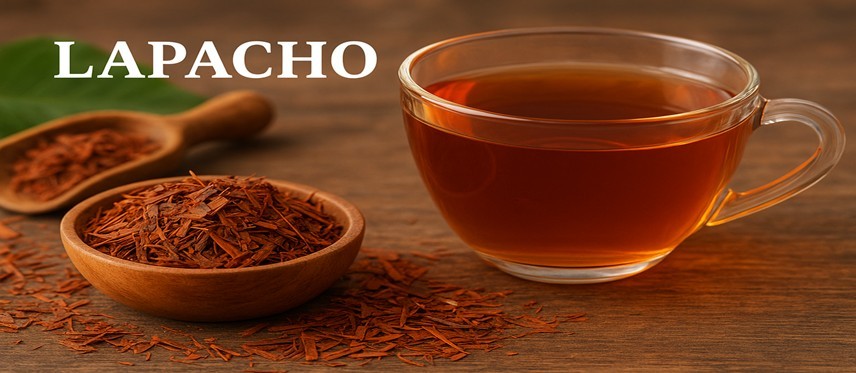 Lapacho : L’infusion naturelle venue d’Amérique du Sud - T pour Thé